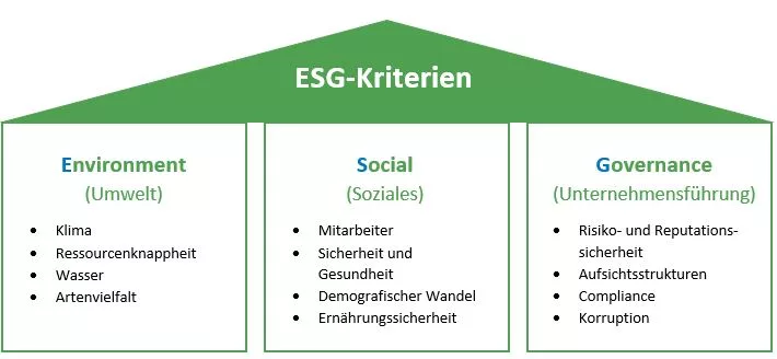 Nachhaltigkeit und die Bedeutung für Unternehmen und Beschäftigte – SÜDVERS